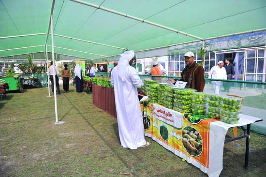 Festival opens to promote Sidra tree | The Peninsula Qatar