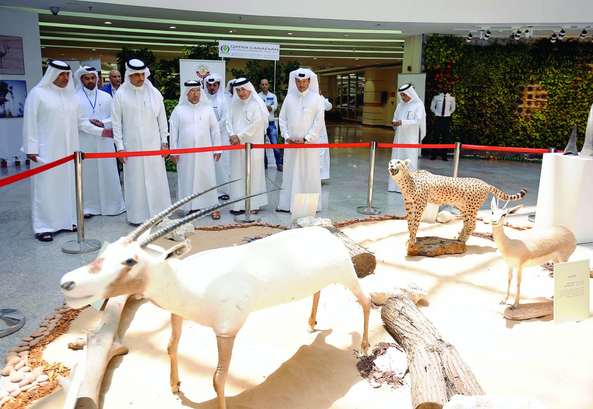 Call to protect nature & wildlife | The Peninsula Qatar