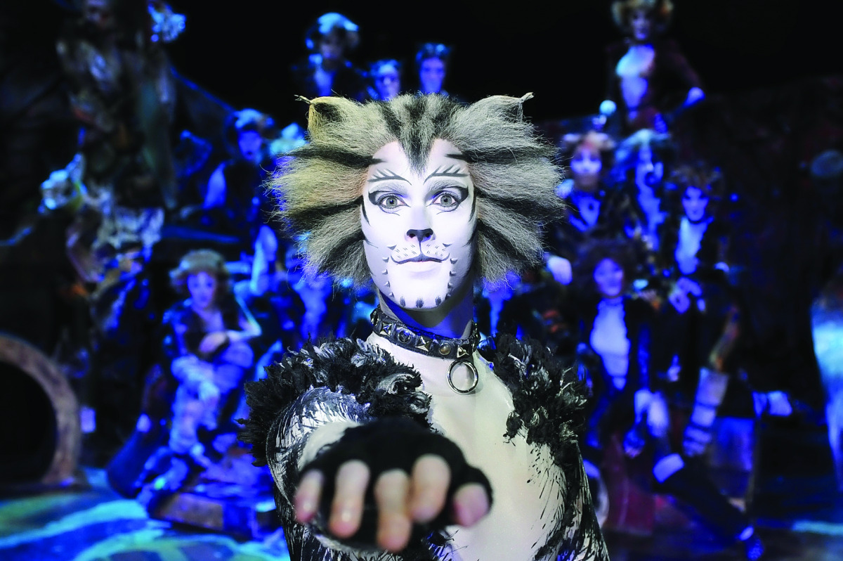 Cats to be staged in Doha in February | The Peninsula Qatar