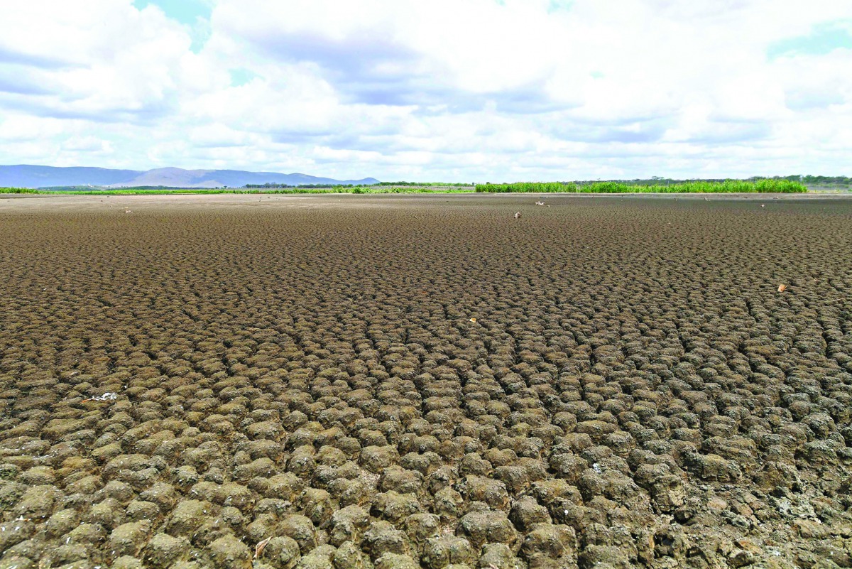 Brazil's poorest region suffers worst drought in a century | The ...