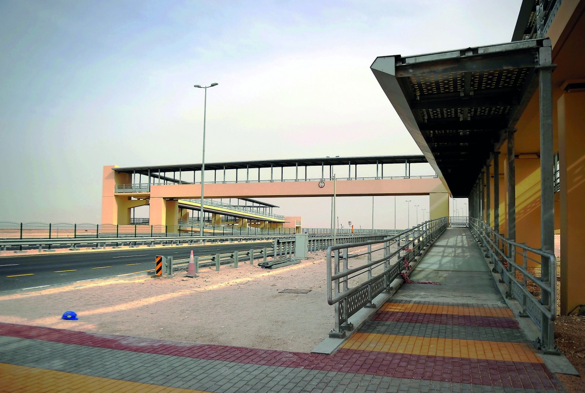 First bridge for camels in Qatar | The Peninsula Qatar