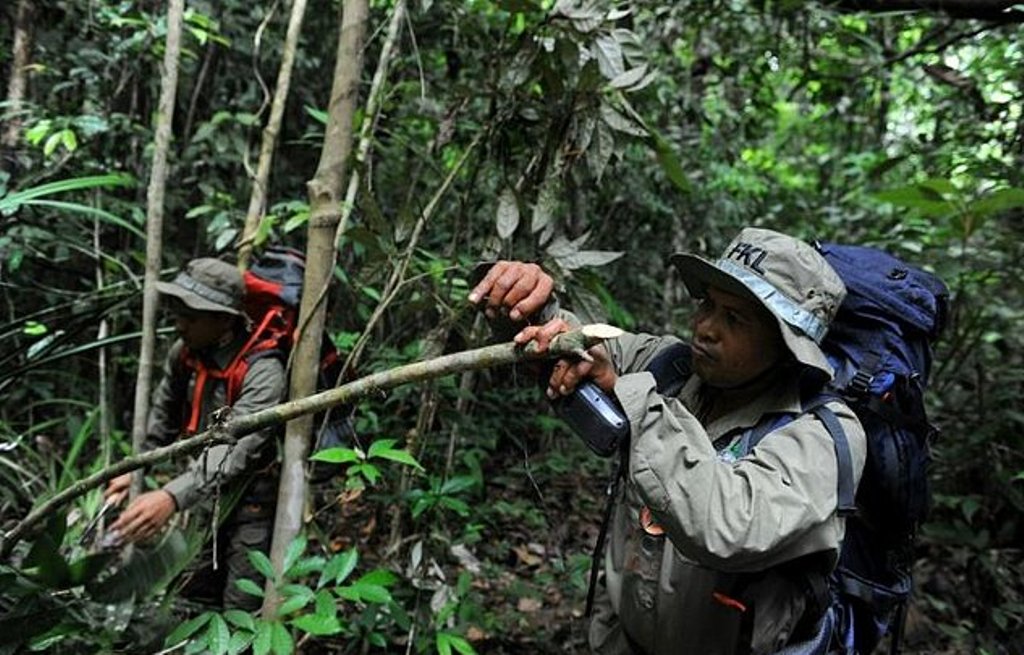 Indonesian rangers dismantle traps to save wildlife | The Peninsula Qatar