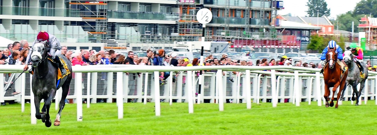 Al Shaqab Racing’s Lwsail dazzles at Newbury | The Peninsula Qatar