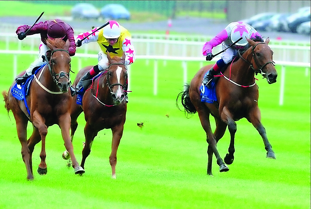 Treasuring wins QREC Curragh Stakes in Ireland | The Peninsula Qatar