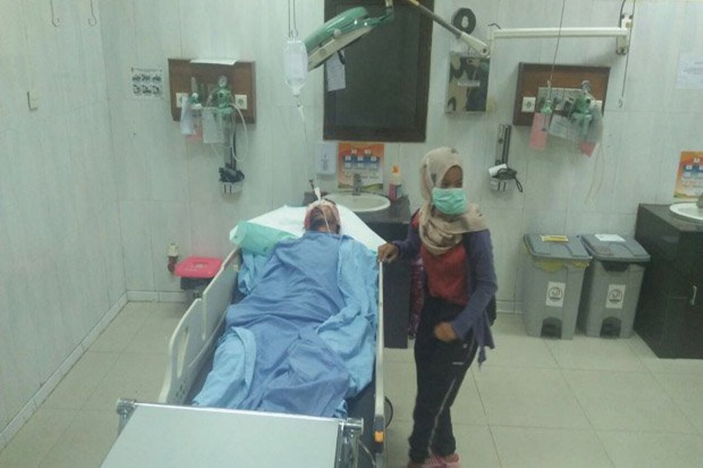 Sun bear attacks couple in Indonesia, killing one | The Peninsula Qatar