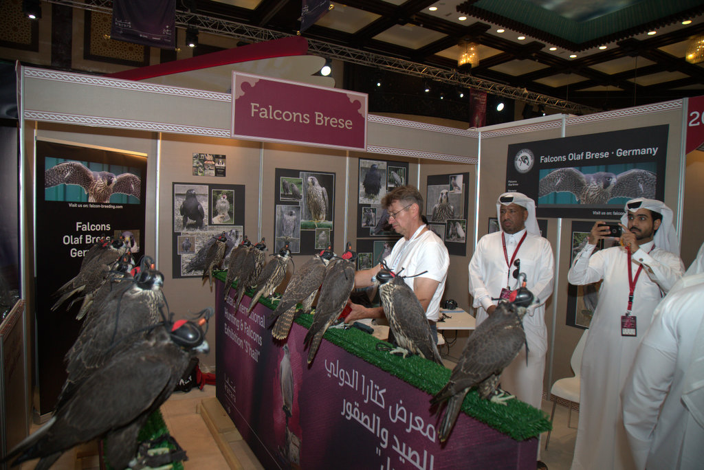 British ‘Game Fair’ festival partners with Katara’s S’hail Hunting and ...