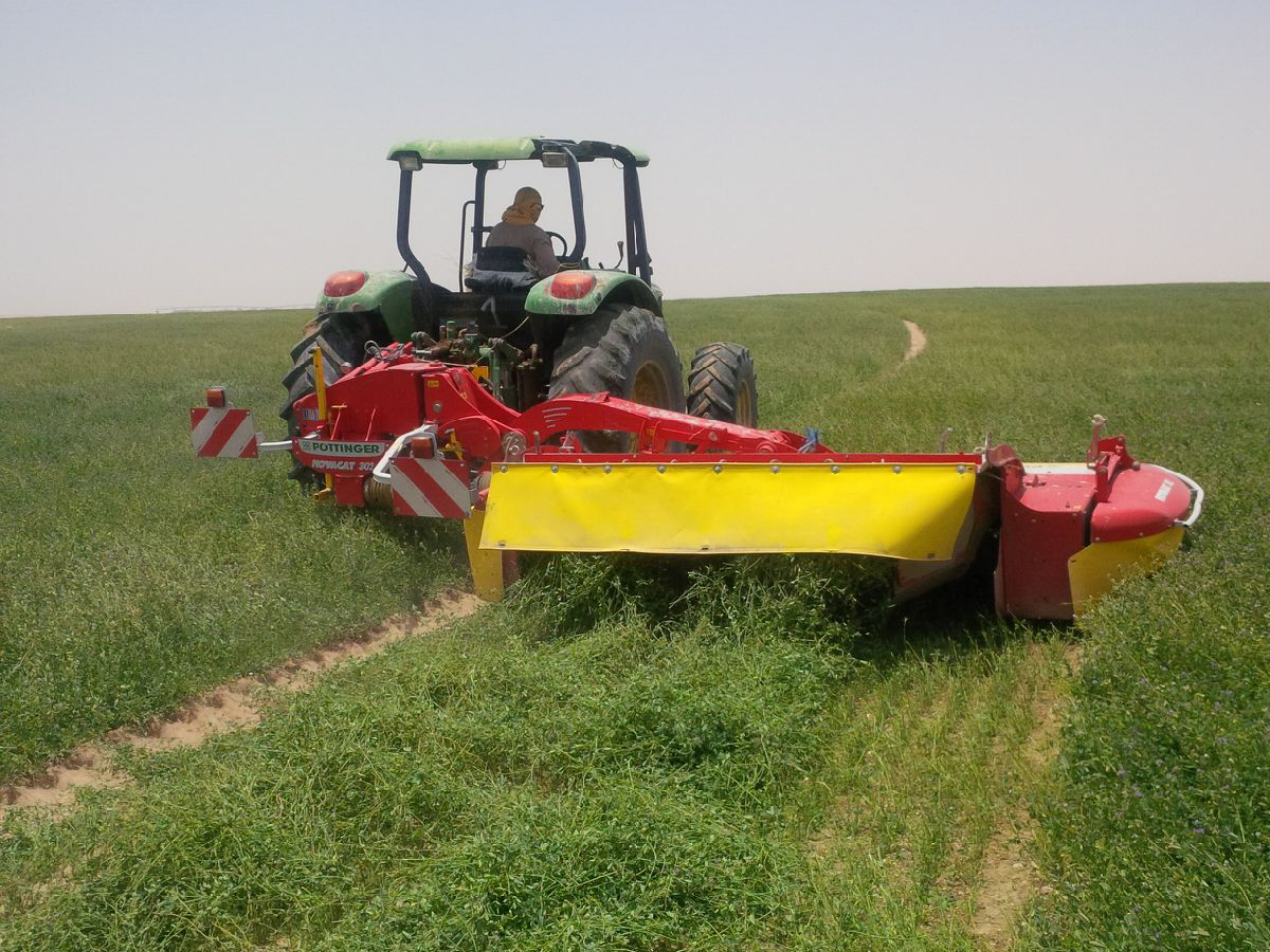 Hassad announces expansion of animal feed project | The Peninsula Qatar