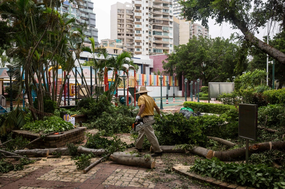 Massive clean-up in Hong Kong after typhoon chaos | The Peninsula Qatar