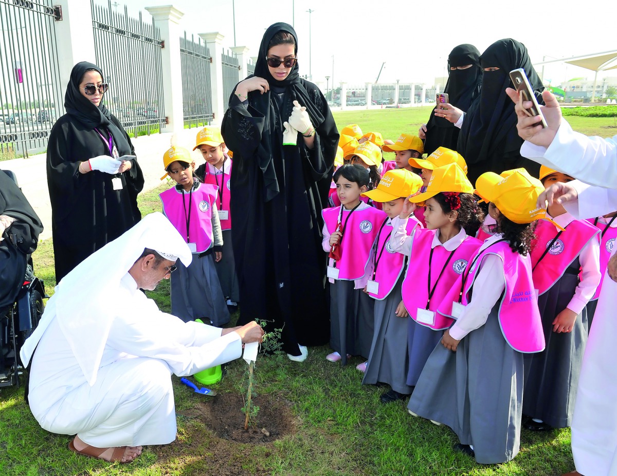 Kahramaa plants 70 rare trees at KAP | The Peninsula Qatar