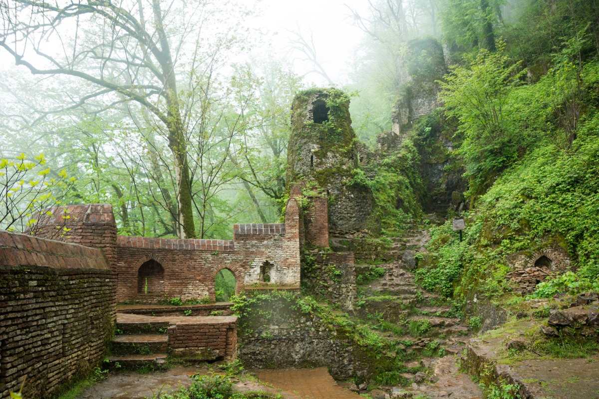 UNESCO adds Iranian forest to World Heritage List | The Peninsula Qatar