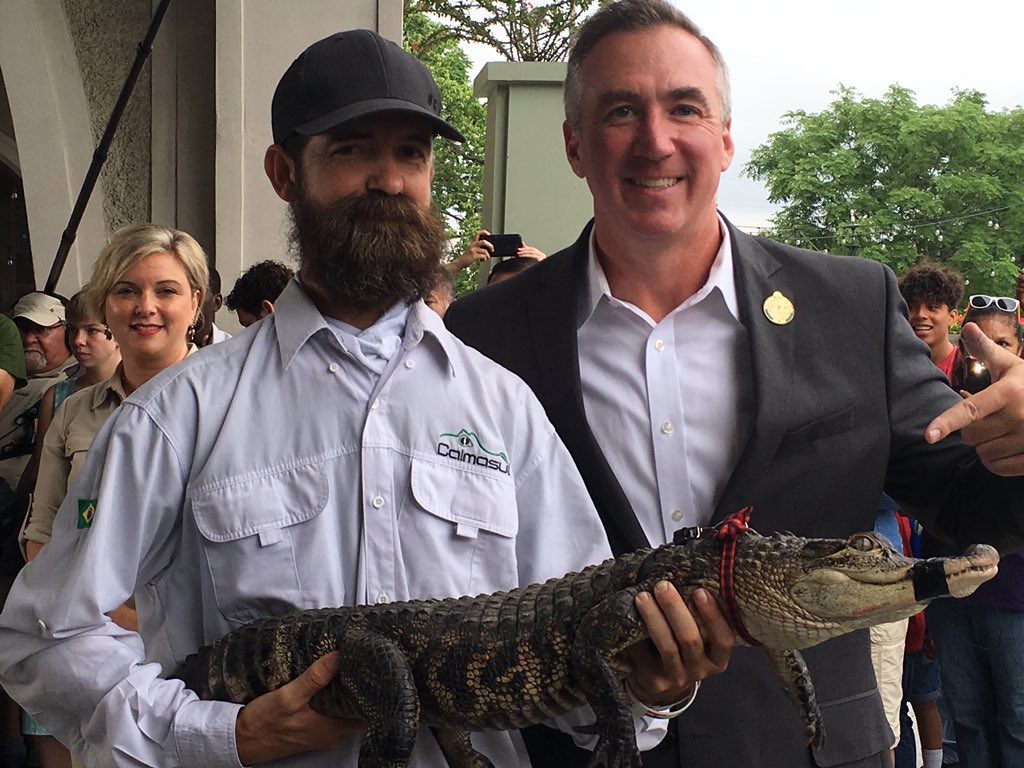 Florida expert captures elusive alligator at Chicago lagoon | The ...