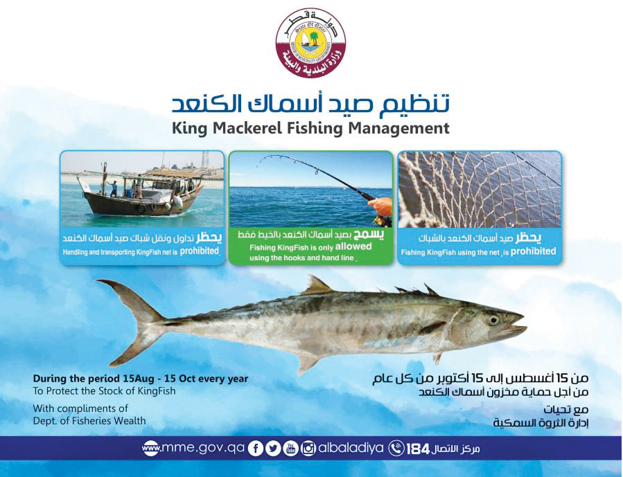 Ban on fishing King Fish from August 15 | The Peninsula Qatar