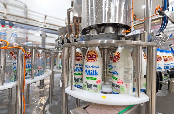 Qatar dairy company Baladna to raise around $392 million in IPO | The ...