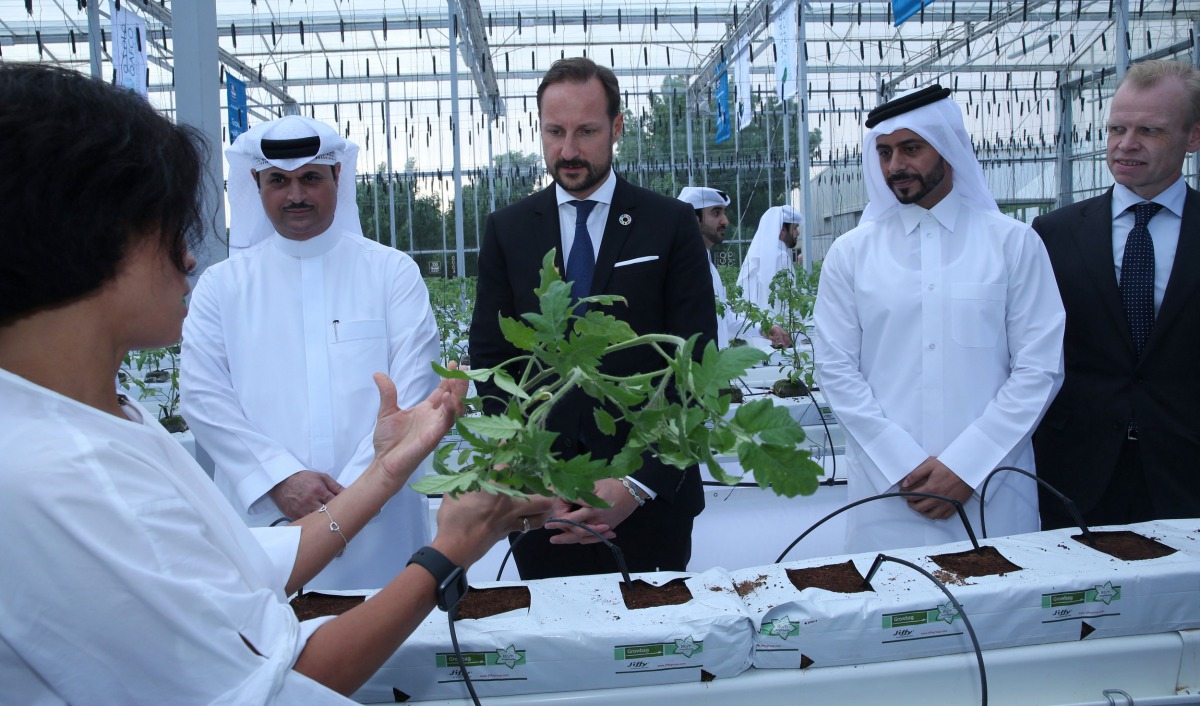 Qatar’s first water-saving greenhouse pilot project launched | The ...