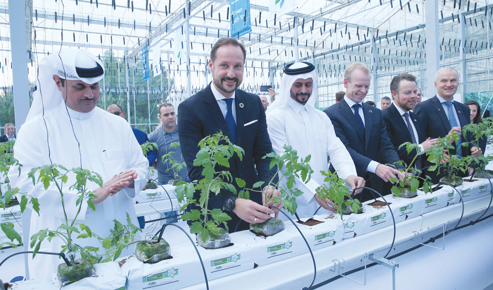 Pilot water-saving greenhouse launched | The Peninsula Qatar