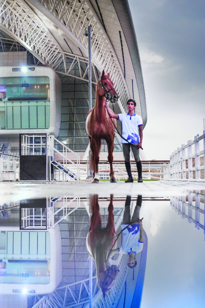 ‘Long-term vision is to make Qatar a global equestrian hub’ | The ...