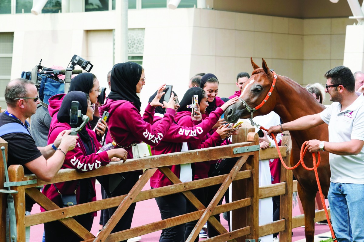 Qatari athletes visit horse breeding facility at Al Shaqab Arena | The ...