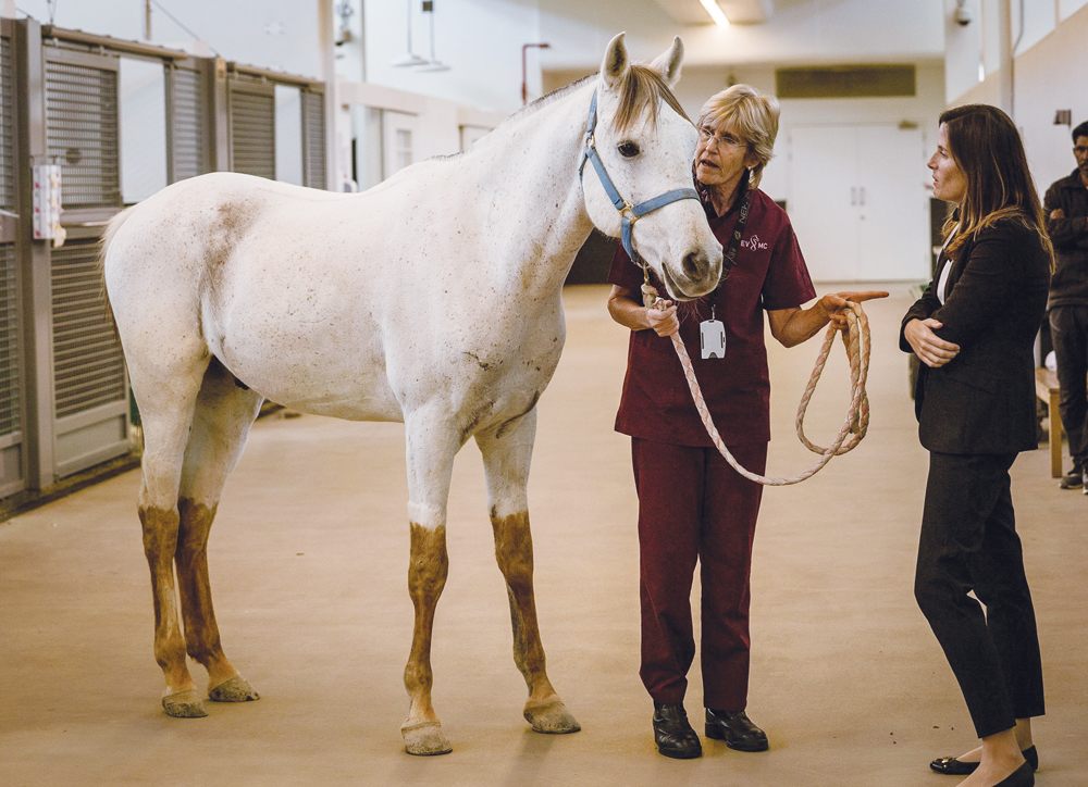 QF’s EVMC continues centuries-old Arab legacy | The Peninsula Qatar