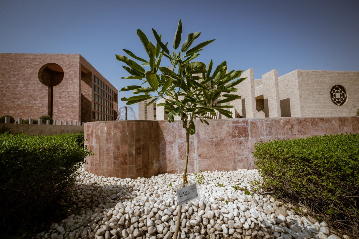 Qatar Foundation launches leadership programme to promote ...