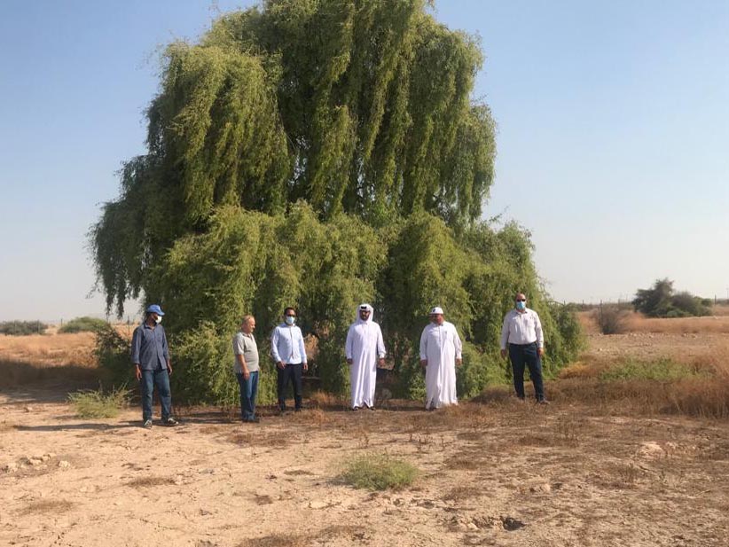 MME plants 200 saplings of wild trees | The Peninsula Qatar