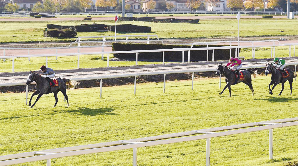 Explosive group win for Al Shaqab Racing’s Jalela | The Peninsula Qatar