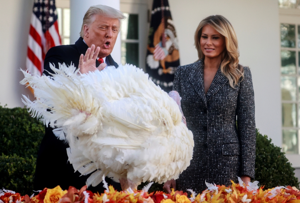 Lame duck Trump pardons turkey but dodges elephant in room | The ...