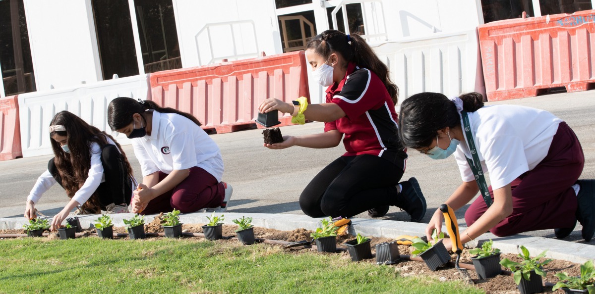 QF schools enhance children’s development through environmental ...