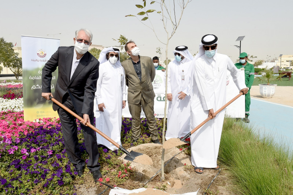 Envoys join ‘Plant Million Tree’ initiative | The Peninsula Qatar