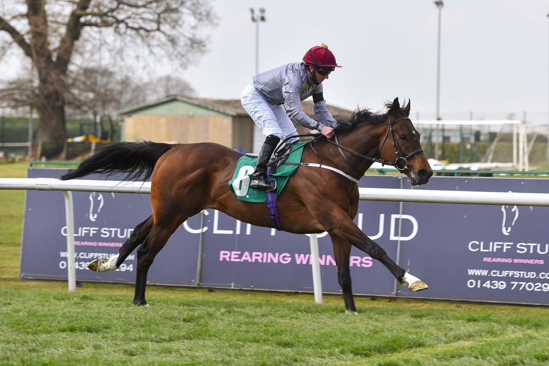 Al Shaqab Racing’s Toro Strike wins seasonal debut at Thirsk | The ...