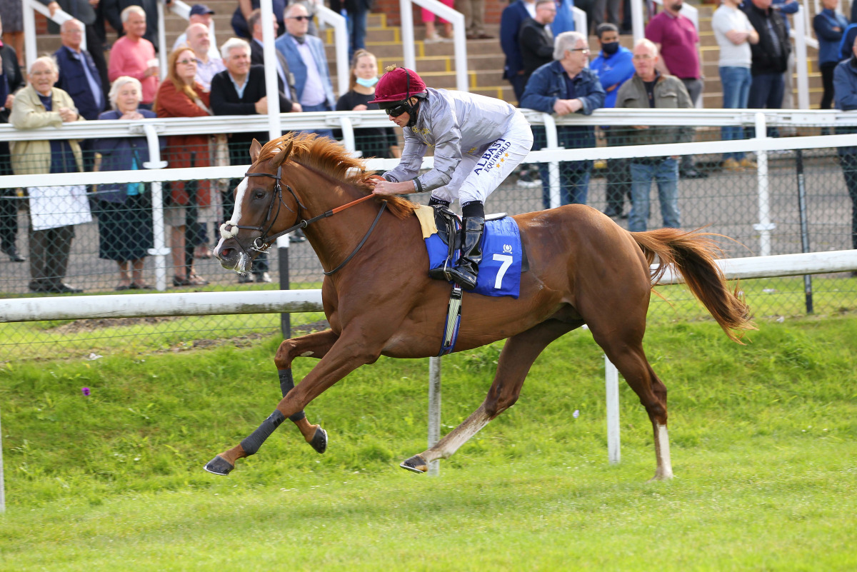 Al Shaqab Racing’s Wahraan bags win | The Peninsula Qatar