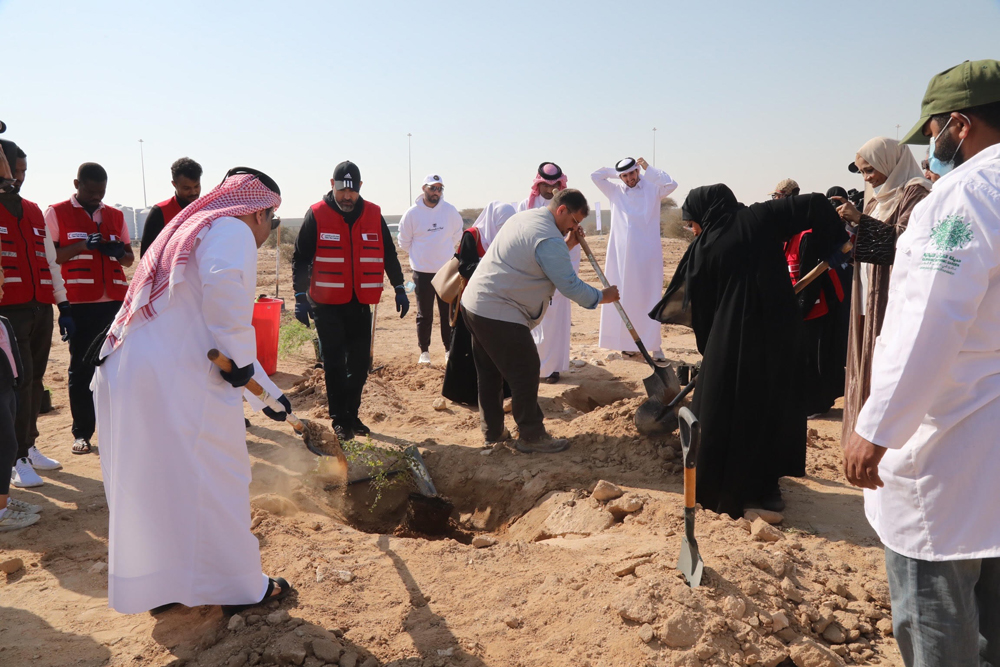 QBG marks Environment Day with wild desert tree restoration event | The ...