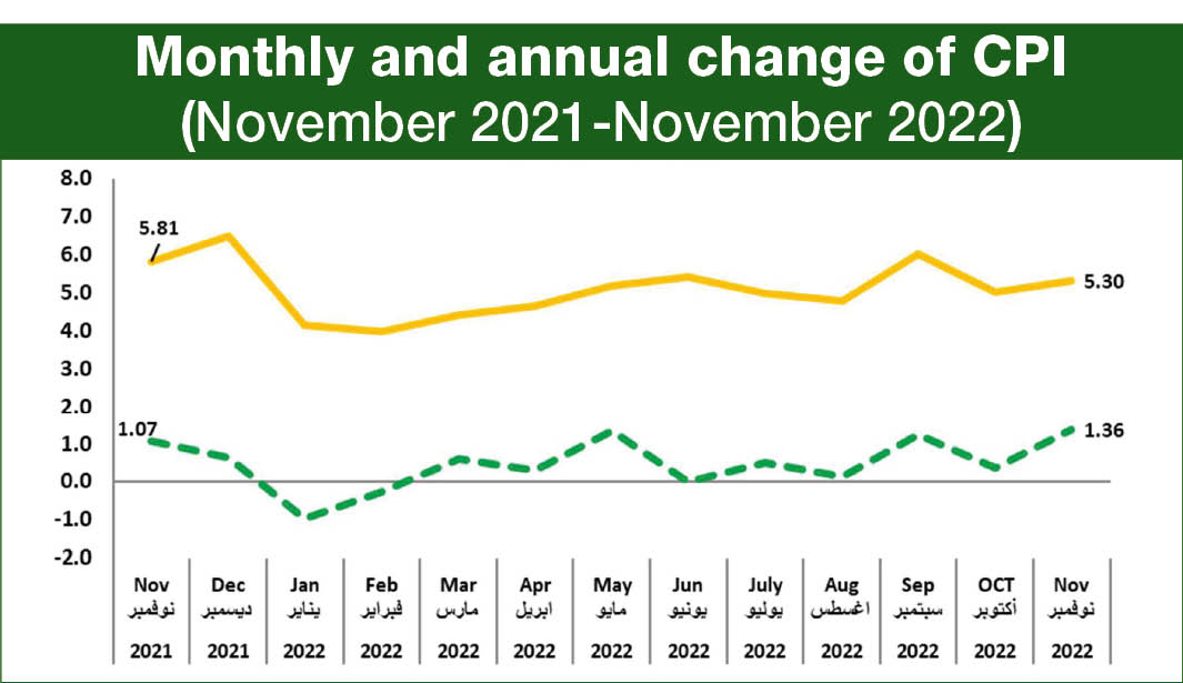 CPI up 5.3% in November 2022 | The Peninsula Qatar