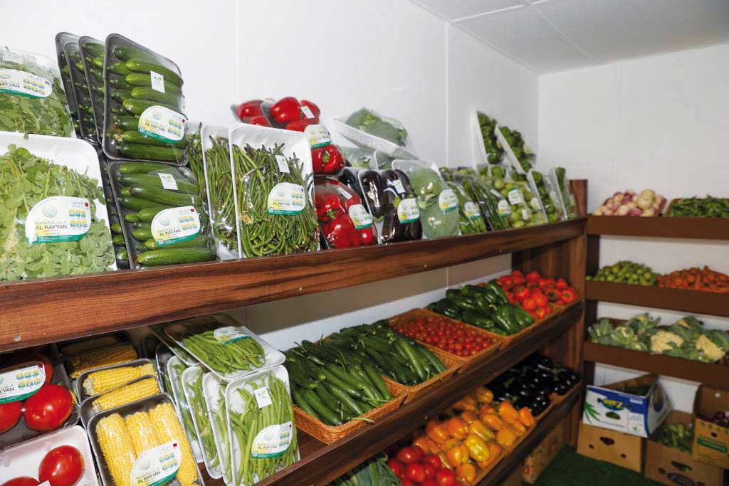 Local vegetable production exceeds consumption: Official - TrendRadars