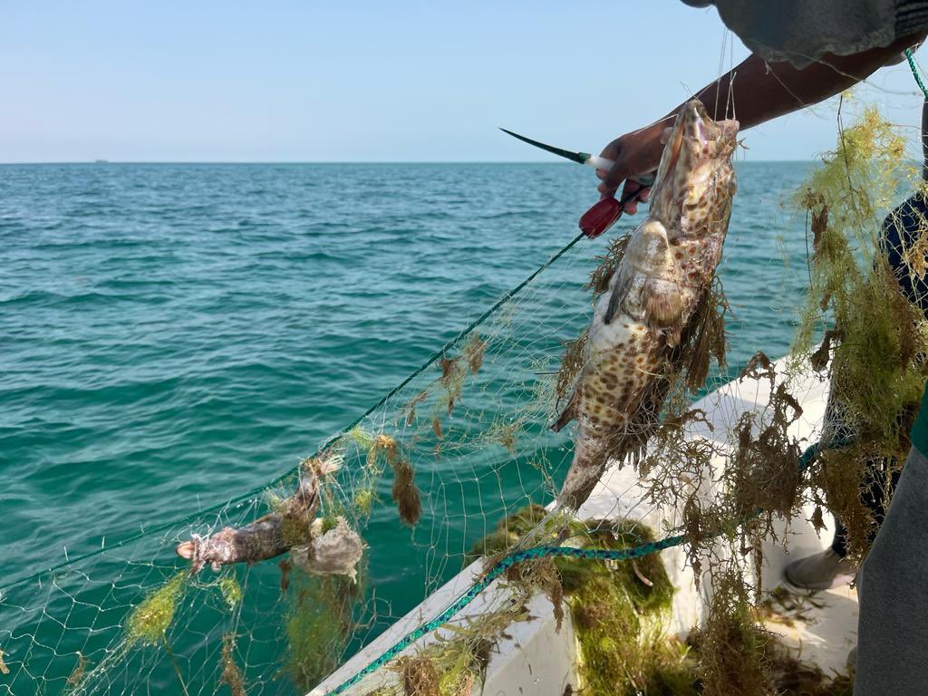 Ministry seizes fishing nets | The Peninsula Qatar