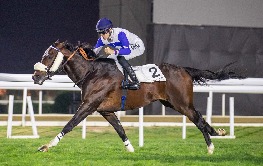 Moutard rides Layeq to Loyalty Cup triumph in style | The Peninsula Qatar
