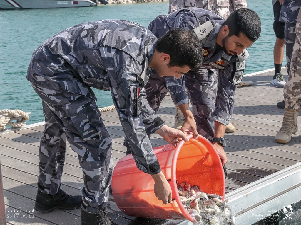 Ministry inaugurates Enriching Fisheries Program | The Peninsula Qatar