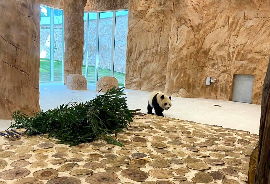 Panda House Park visiting hours during Eid Al Fitr | The Peninsula Qatar