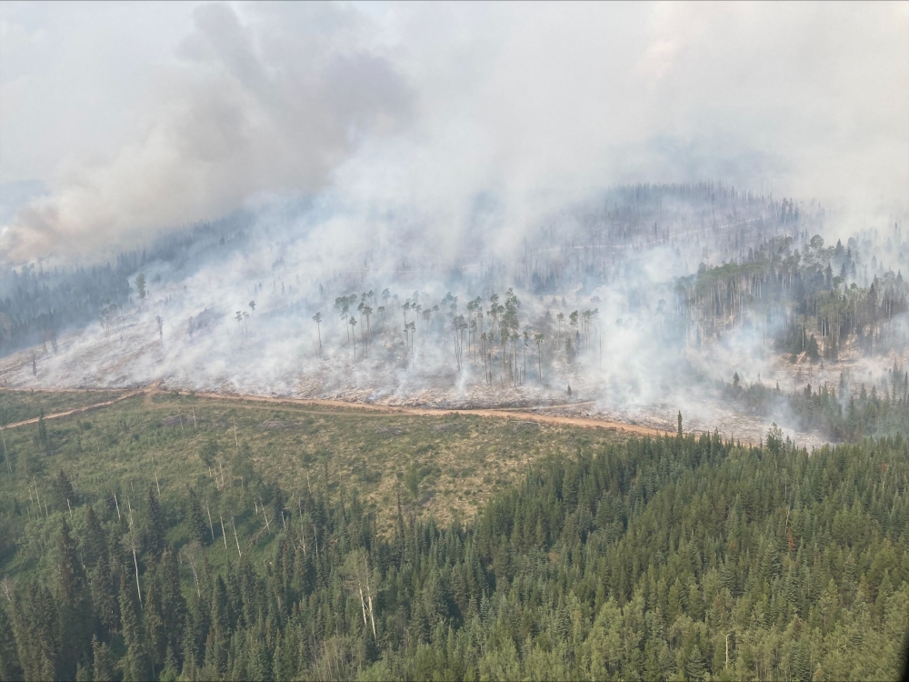 Canada wildfires have burned over 10 mn hectares this year: figures ...