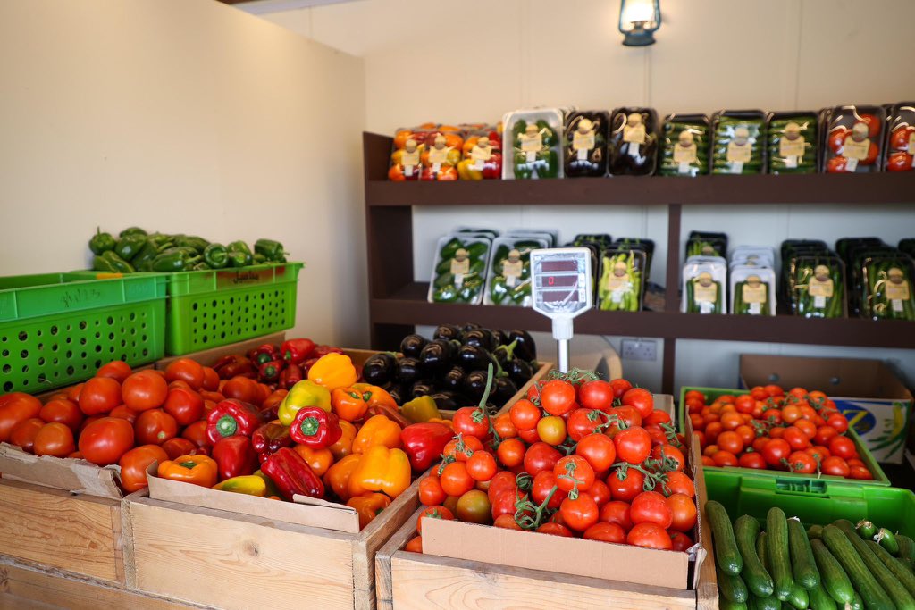 Mahaseel Festival begins at Katara | The Peninsula Qatar