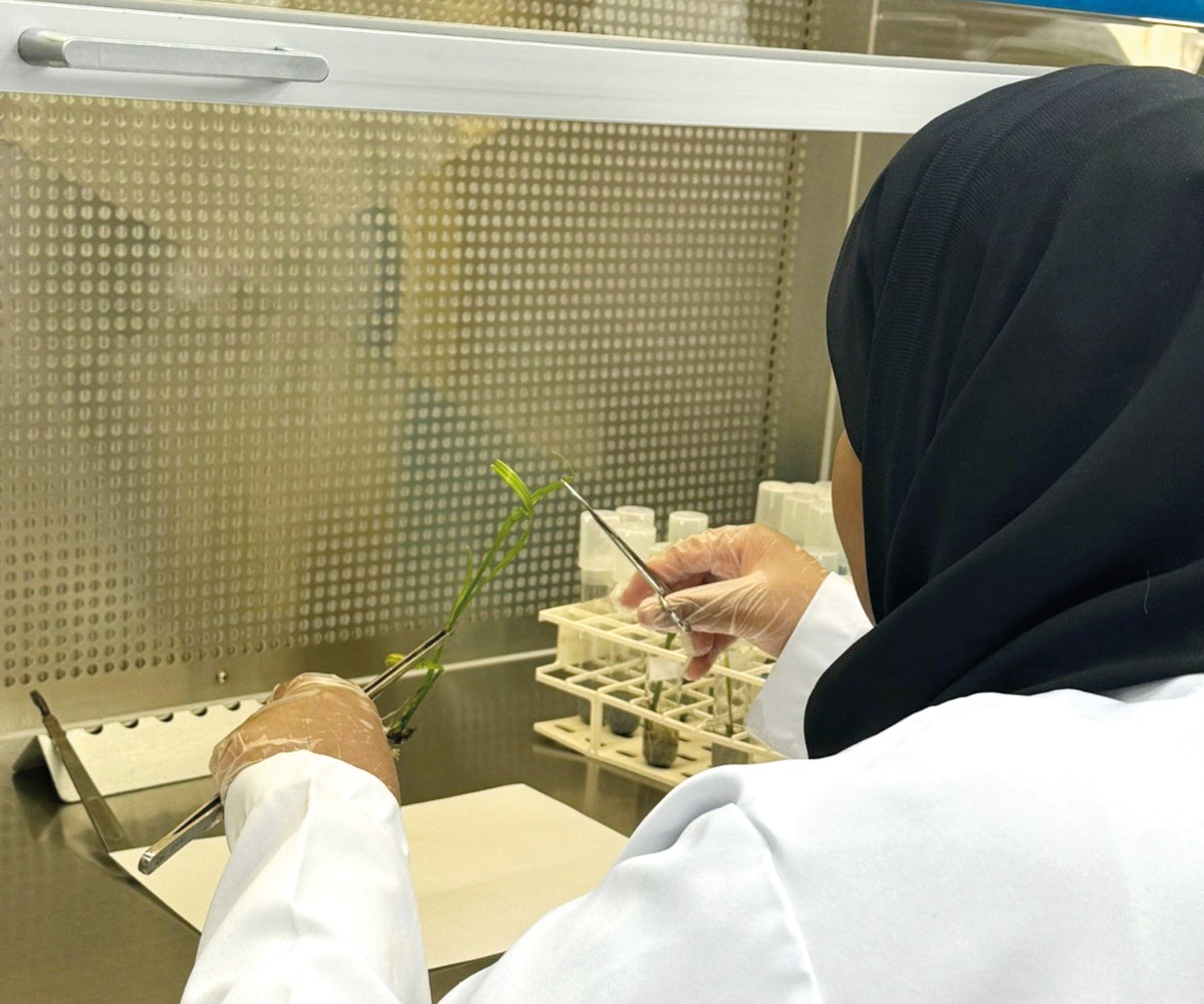 Ministry of Municipality teaches students about tissue culture ...