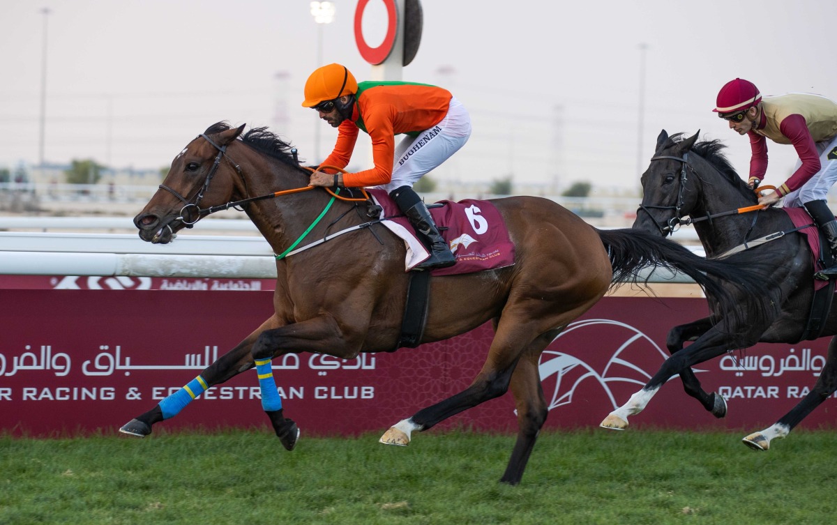 Brilliant Al Shomos powers to Marmi Cup win at Al Uqda | The Peninsula ...